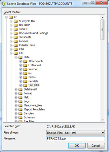 How to backup the SQl database for PTP Accounts Production
